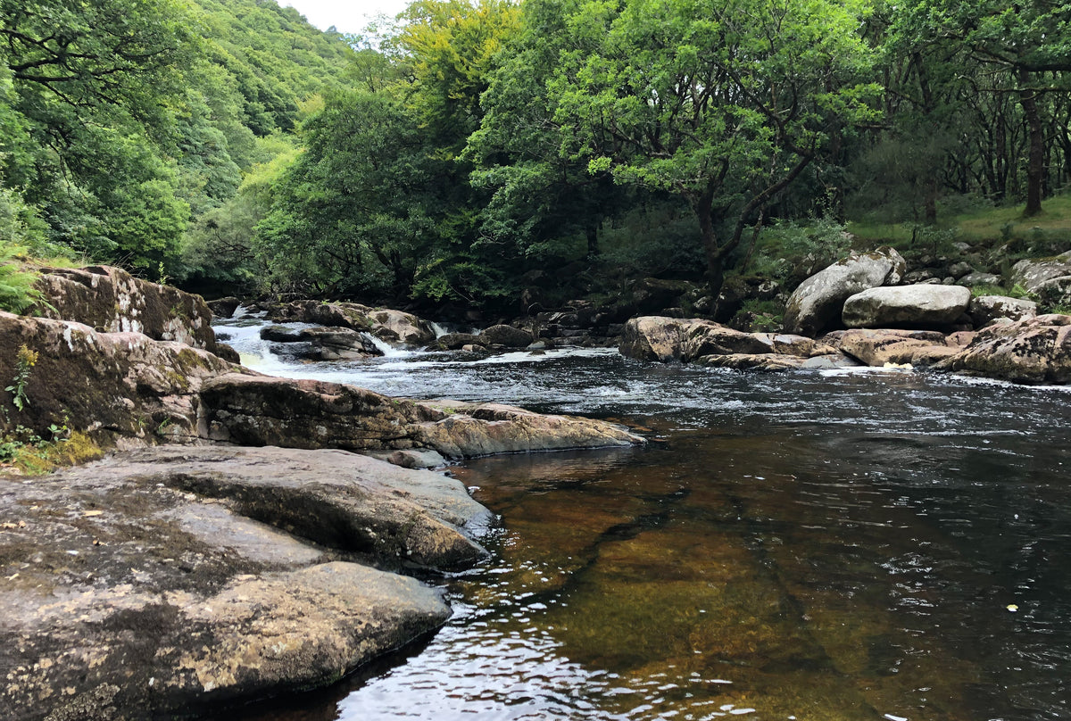 The Tanner Bates Devon Diaries-Tanner Bates